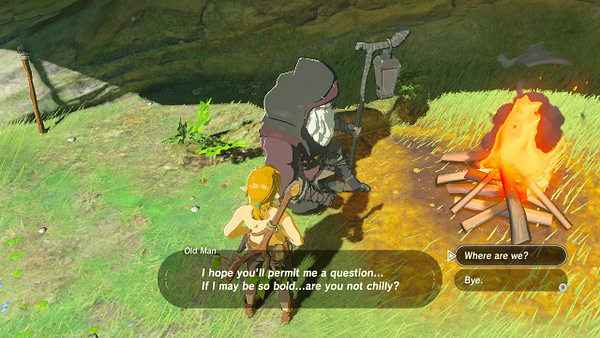 Zelda: Breath Of The Wild -- #ShirtlessLink Is A Thing And It Is Glorious