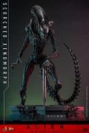 alien xenomorph hot