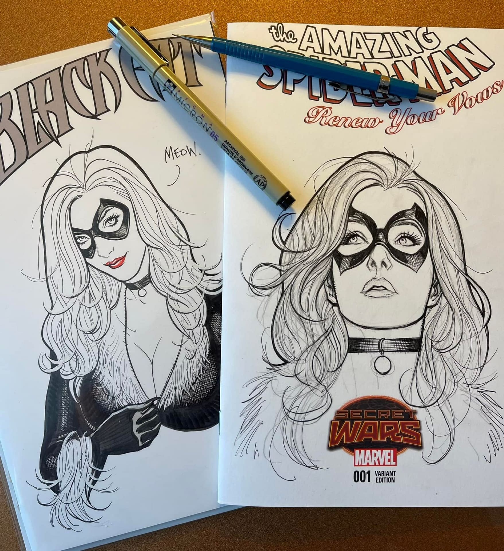 Frank Cho Outrage Commissions & Sketch Covers For San Diego Comic-Con