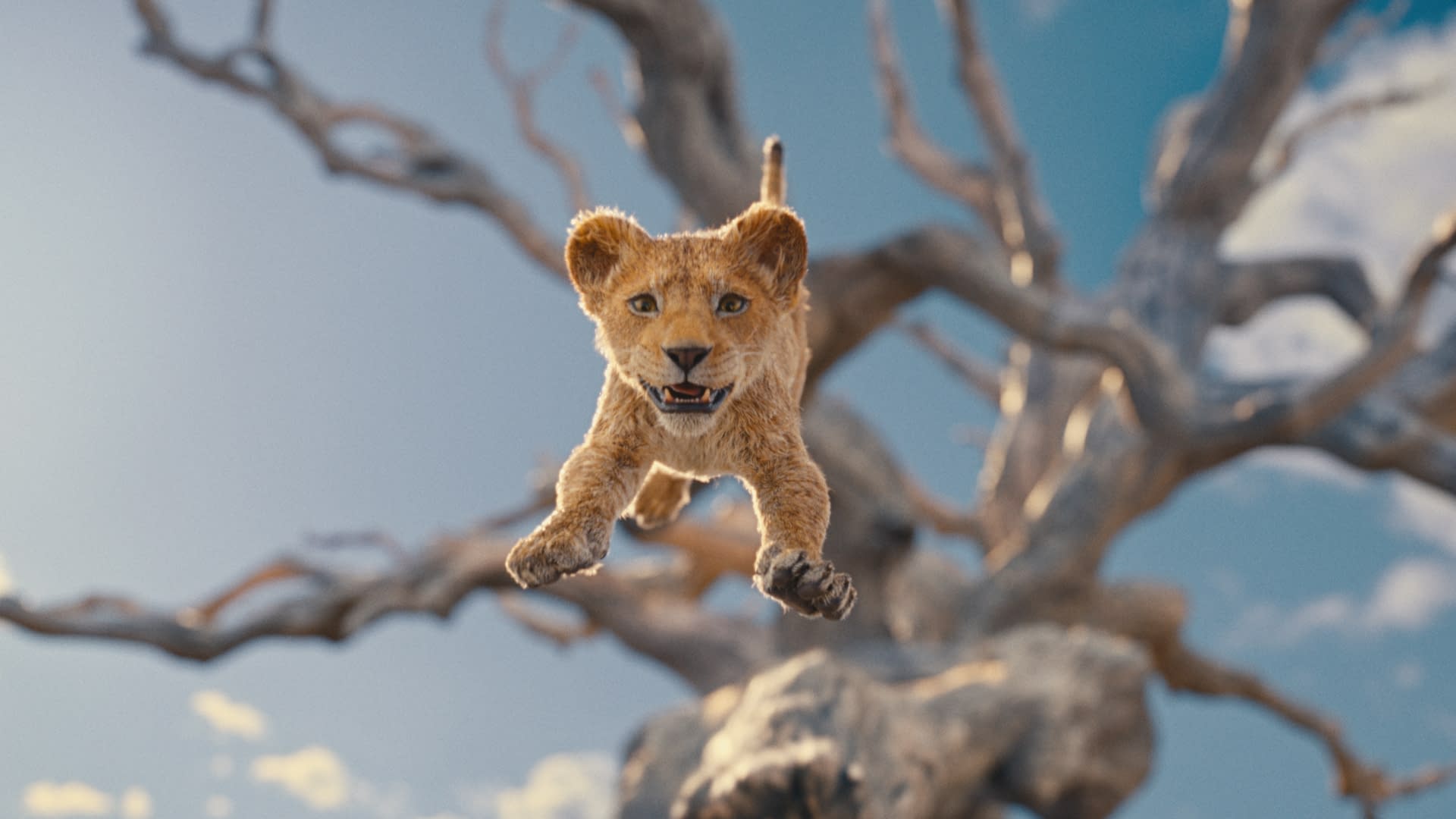 Mufasa: The Lion King - Mufasa: The Lion King -