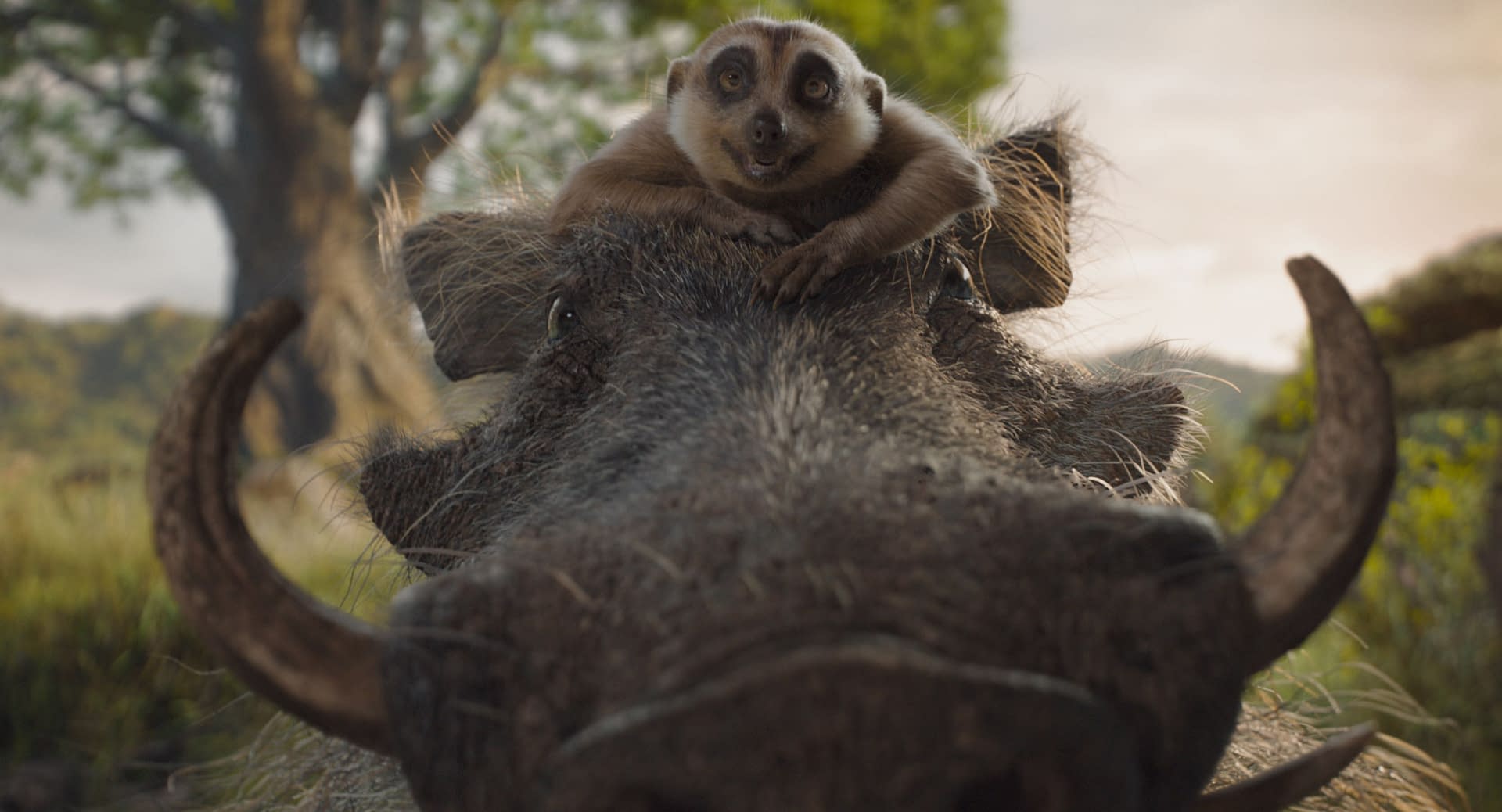 Mufasa: The Lion King - New TV Spot, BTS Featurette, And 9 New Images