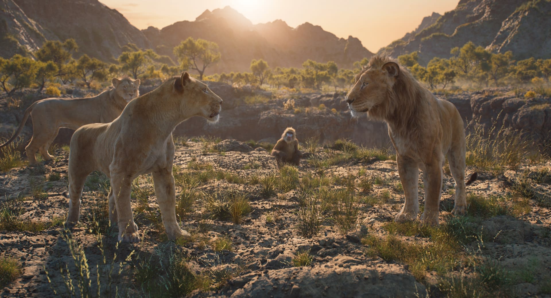 Mufasa: The Lion King - New TV Spot, BTS Featurette, And 9 New Images