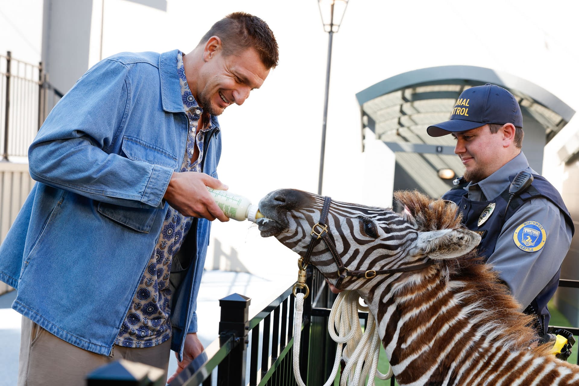 Animal Control S04E03 Dragons and Dognappers Preview: Gronk Returns