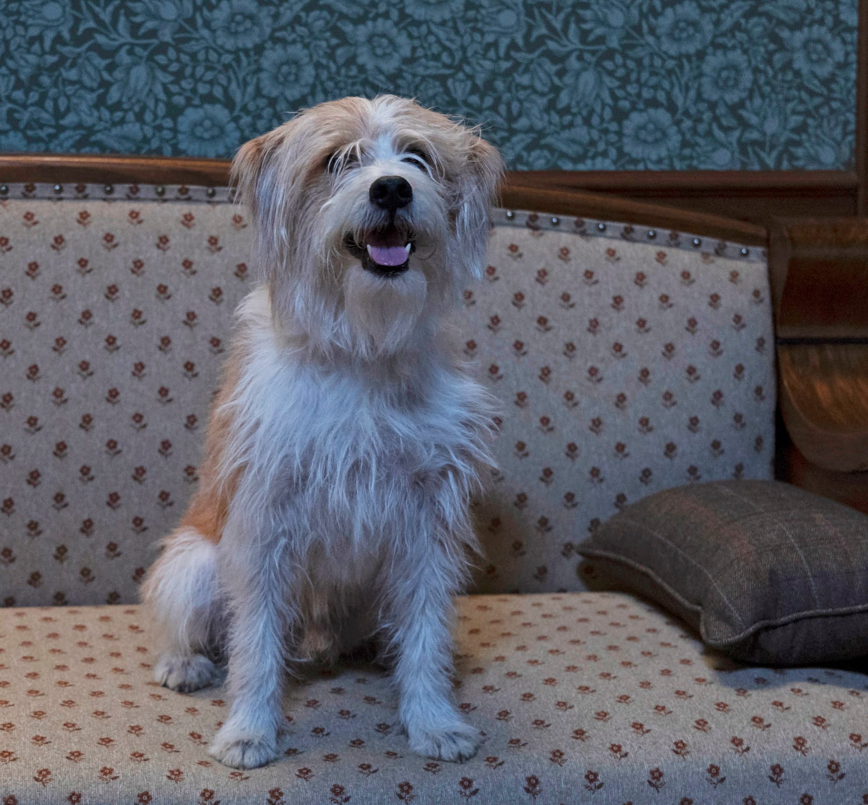 Best Medicine: Our S01E10: "Port Wenn-ings and a Funeral" Preview