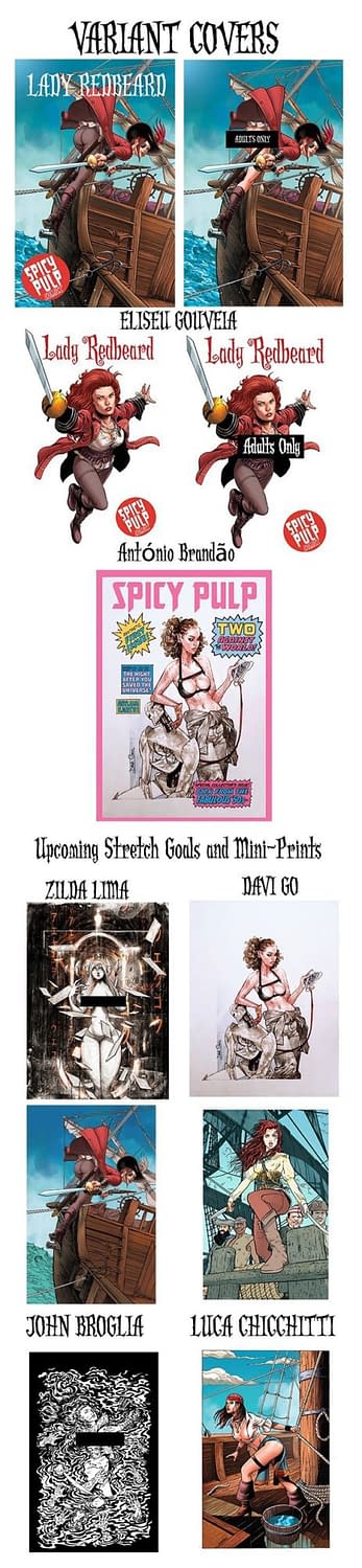 Lady Redbeard: Justin Gray Launches "Adult" Pirate Comic on Kickstarter